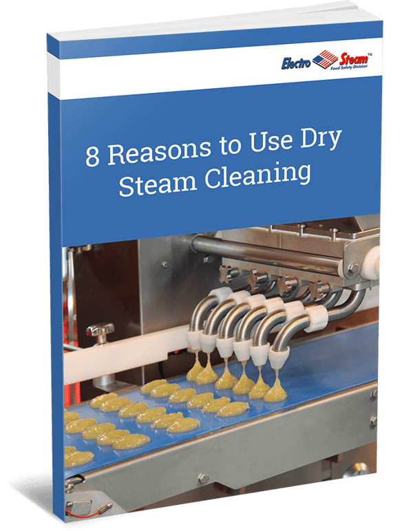 8 Reasons to Use Dry Steam Cleaning | Electro-Steam Generator Corp.